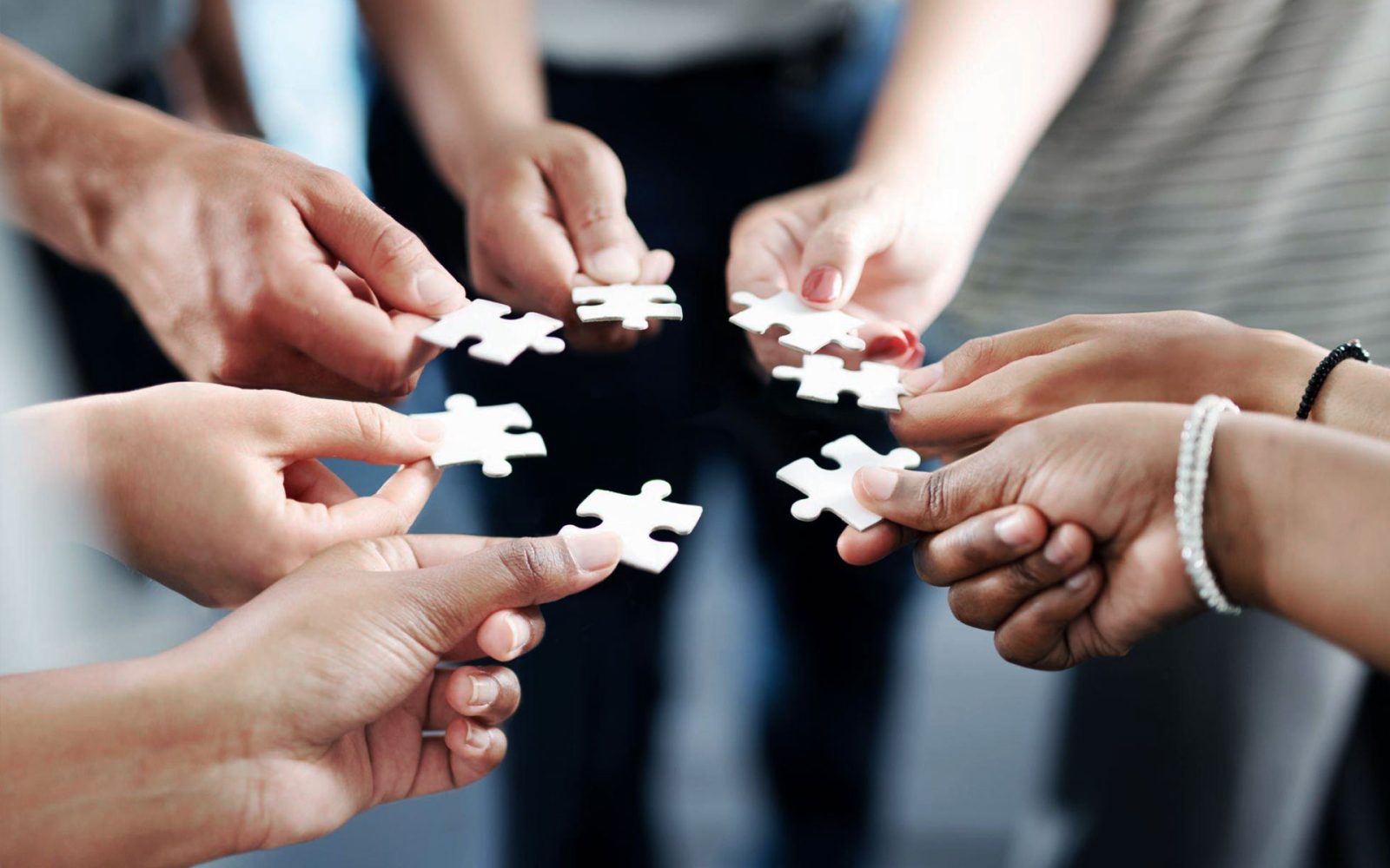 Partner - Ailingchuang